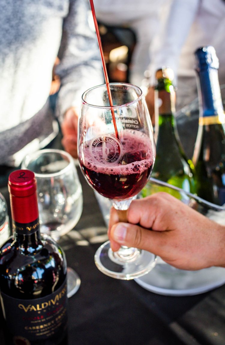 Chile inicia temporada de vendimias con más de 40 fiestas